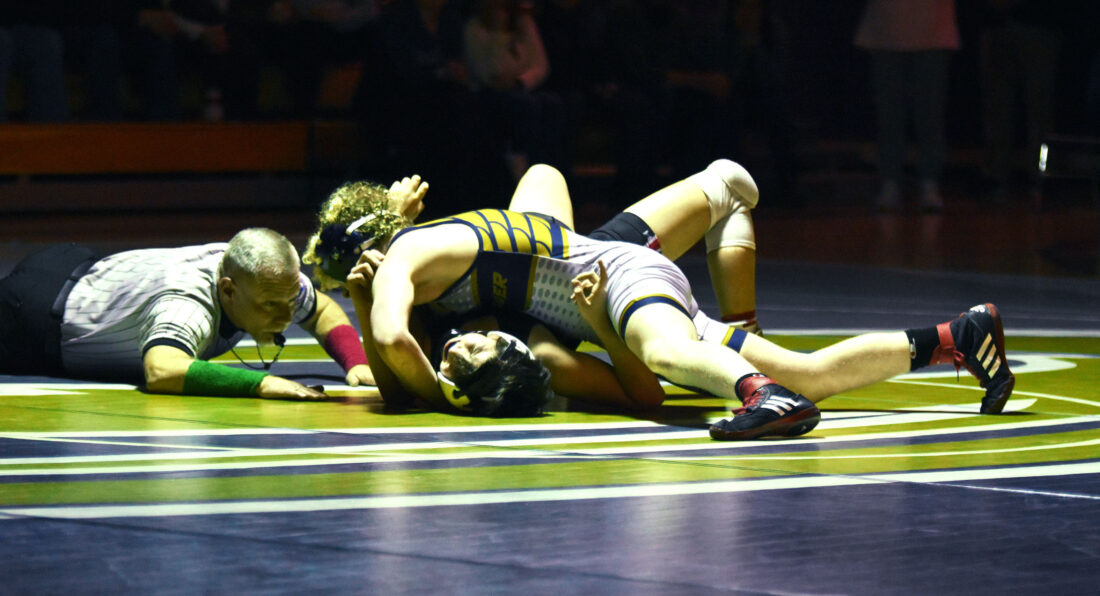 Falconer/CV suffers mat loss to St. Francis | News, Sports, Jobs ...